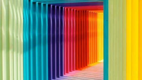 Color Theory: A Complete Guide for Artists and Designers