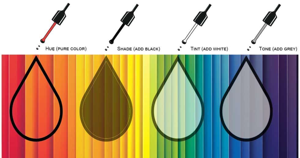 Color Theory: A Complete Guide for Artists and Designers