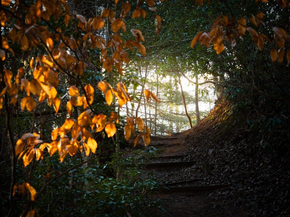 Online Photography Degree | Associate Degree (AOS)