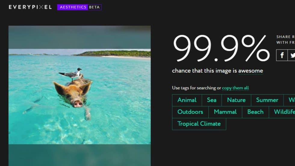 Find the Right Picture Fast with Everypixel | Sessions College