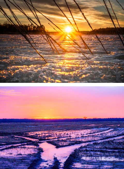 Online Photography Degree | Associate Degree (AOS)